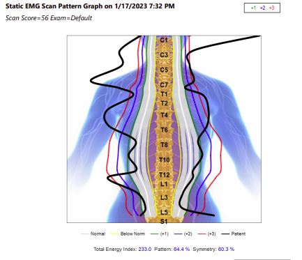 Insight Subluxation Station Amherstburg, Lasalle, Essex ON | Family ...