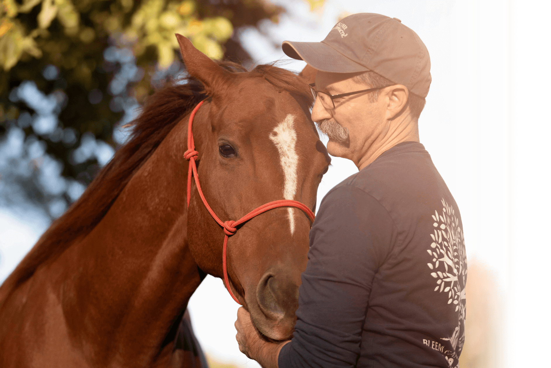 Chiropractor Havana IL | Bleem Family Chiropractic