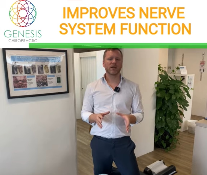 Improves Nerve System Function | Genesis Chiropractic