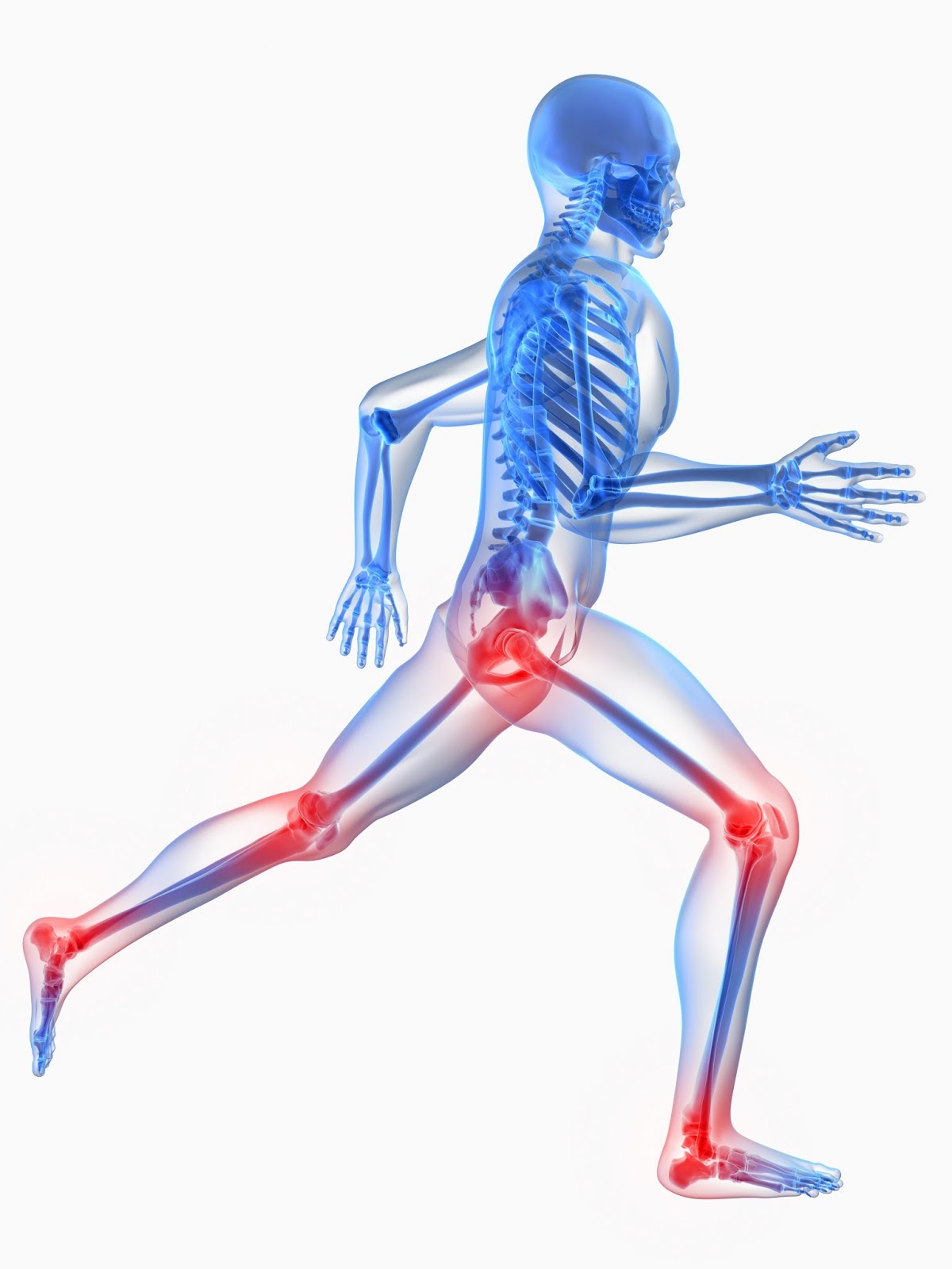 Healthy Hips, Knees and Other Joints | Performance Chiropractic