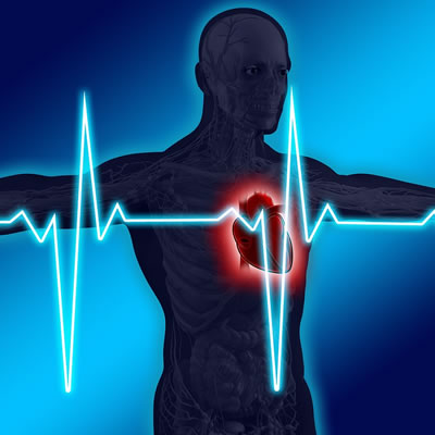 Understanding Heart Rate Variability Testing: Your Body's Resilience ...