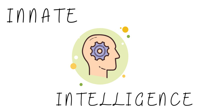 Your Innate Intelligence | Innate Family Chiropractic