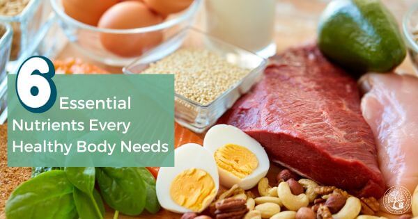 6 Essential Nutrients Every Healthy Body Needs | New Life Chiropractic