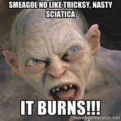 Sciatic Nerve Memes Sciatica – A Pain In The Back Side! NJD Sports